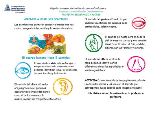 Cuento El País de los Cinco Sentidos | PPT