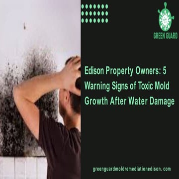 5 Warning Signs of Toxic Mold Growth After Water Damage | PPTX