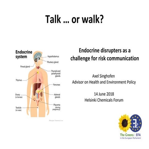 HCF 2018 Panel 2: Martin Kayser | PPTX