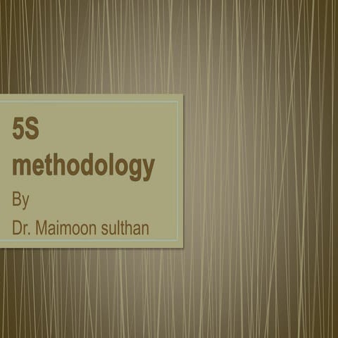 5 s methodology | PPTX
