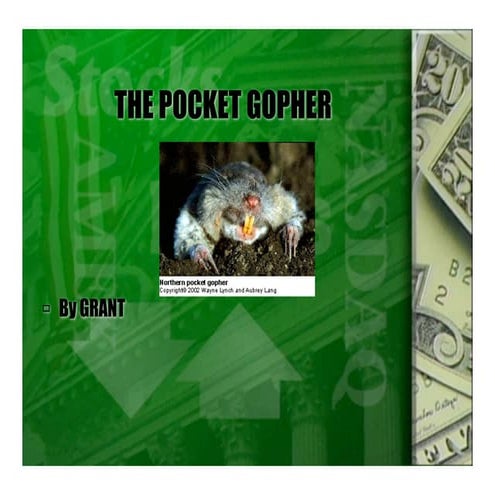 5spocket Gophers | PPT