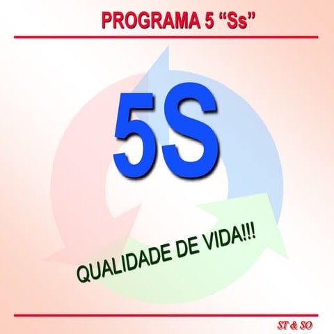 _5S_Programa de Qualidade e Padronização.ppt