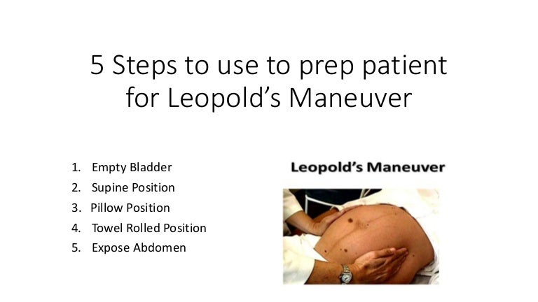 5 steps to use to prep patient for Leopold's Maneuver