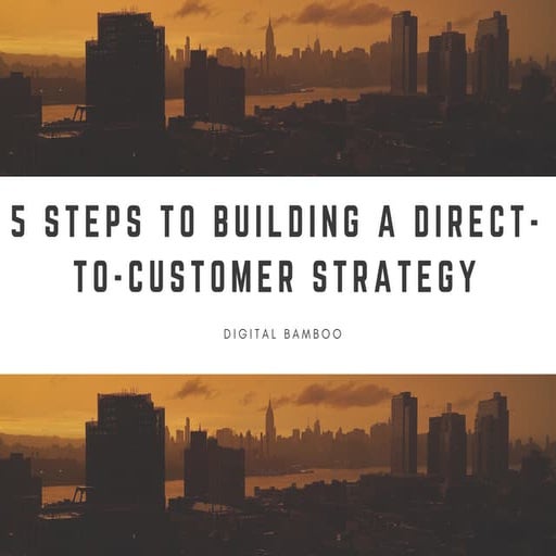 5 steps to building a direct to-customer strategy | PDF
