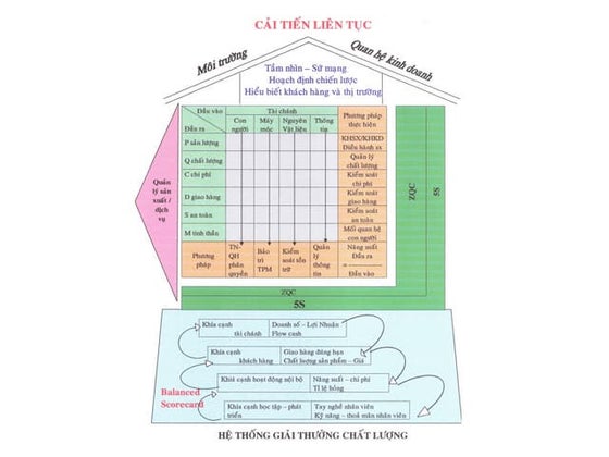 GIẢI PHẪU HỌC CƠ QUAN SINH DỤC NỮ | PDF