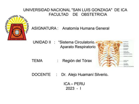 ANATOMIA DE ESPACIO INTERCOSTAL Y MEDICIÓN DE PULSO ARTERIAL | PPT