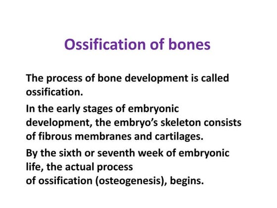 BONE DEVELOPMENT.pptx