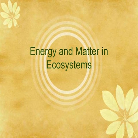 AP Biology energy and matter transfer through ecosystems | PPTX