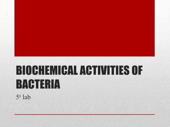 Identifying Unknown Bacteria Lab Pdf