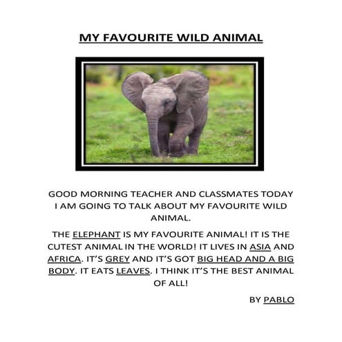 5 th project my favourite wild animal | DOCX