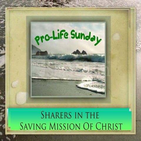 5th Sunday In Ordinary Time Feb 7 | PDF
