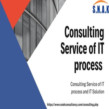 Get Consulting Service of IT process and IT Solution | PPT