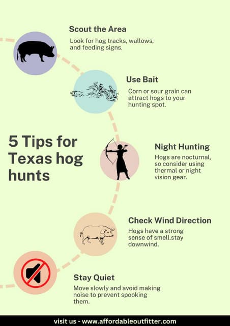 Texas Hog Hunts Checklist - Affordable Outfitter.pdf