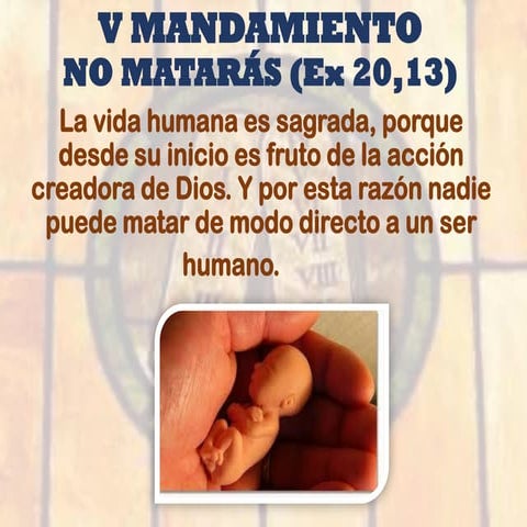5to Mandamiento El Quinto Mandamiento: Cuestiones Morales De Vida Y