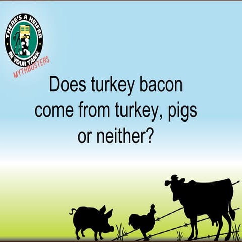 Does turkey bacon come from turkeys, pigs or neither? | PPT