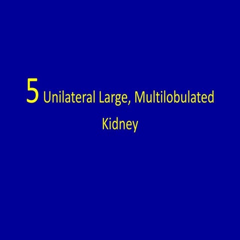 5 unilateral large, multilobulated kidney | PPTX