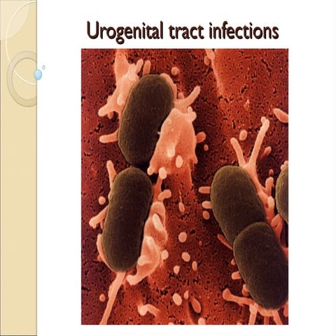 Urinary tract infection abbreviation Uti.ppt
