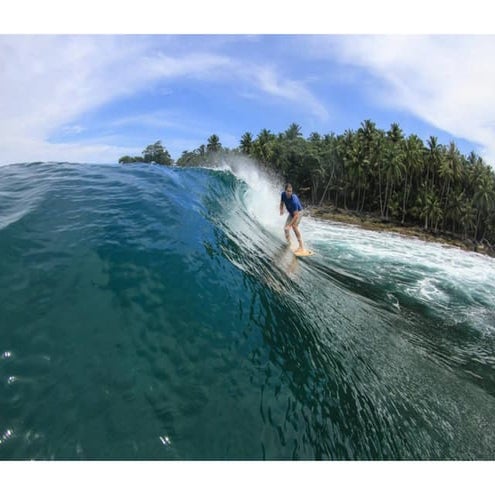 Bill Malloy Venture Capital Surf 18 | PDF