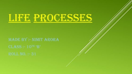 Life process | PPT