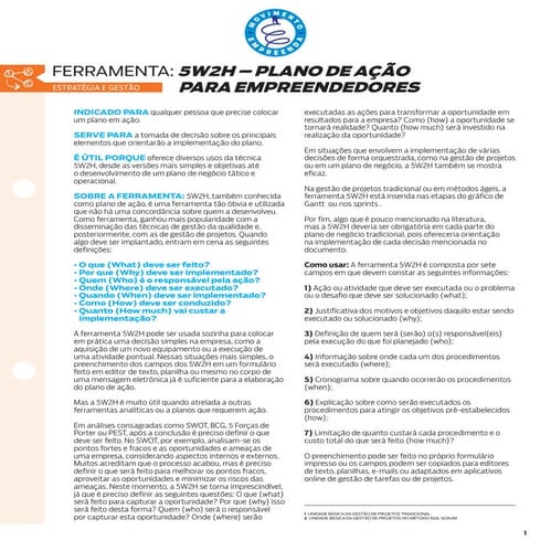 5 w2h excelente | PDF