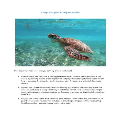 5 ways that you can help sea turtles! | PDF