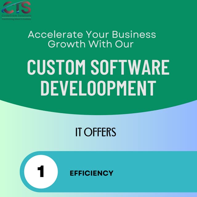 Custom Software Development Services | PDF