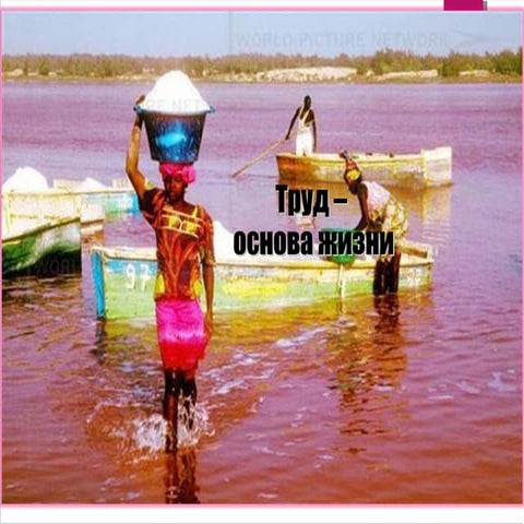 6 класс труд основа+викторина | PPT
