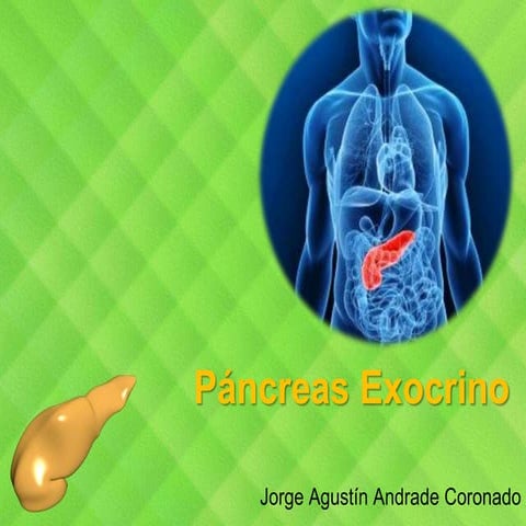 Fisiologia del páncreas exocrino | PPTX
