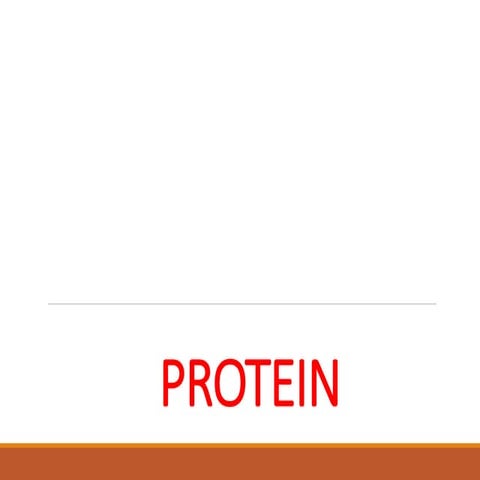 6. protein | PPT