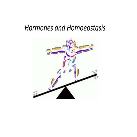6.6 homeostasis and hormones | PPTX
