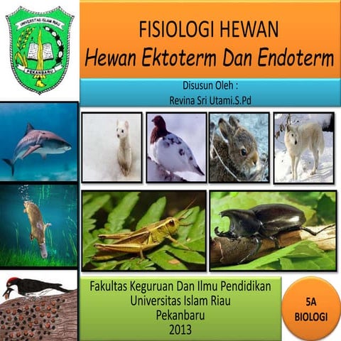 EKTODERM DAN ENDODERM | PPTX