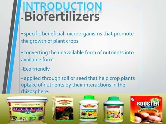 Production of Biofertilizers | PPT