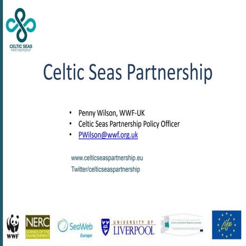 6. Penny Wilson WWF | PPT