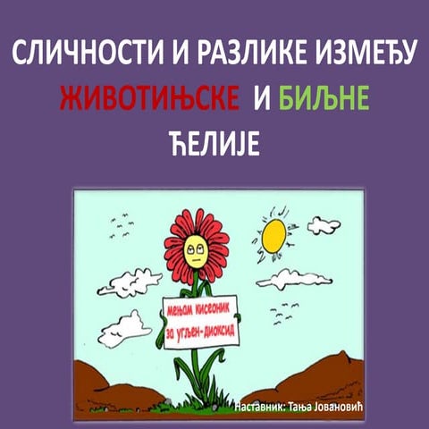 Gradja biljaka | PPTX