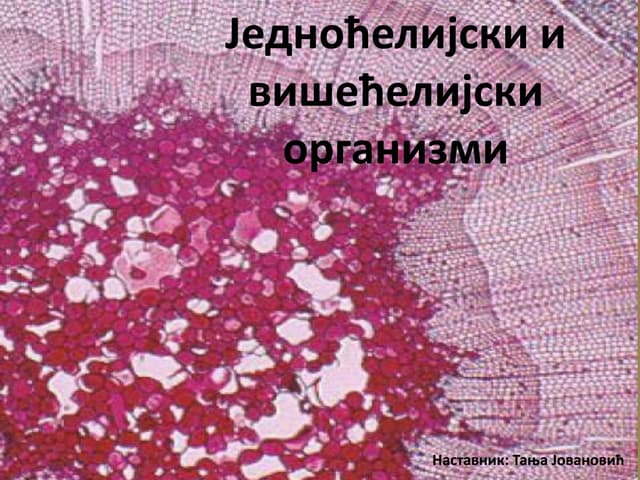 Građa ćelije - 7. razred, Dunja Ercegovčević | PPTX