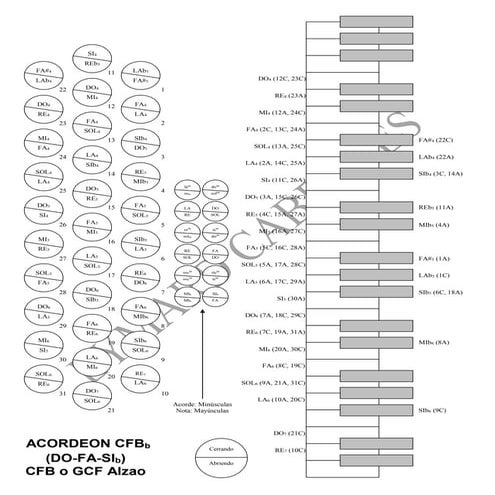6. Acordeón GCF alzao | PDF