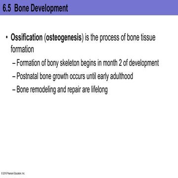 Bones and ossification | PPTX
