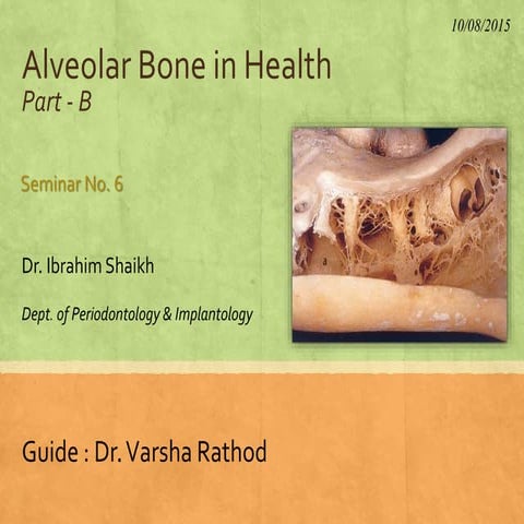 6. alveolar bone in health part b dr-ibrahim_shaikh | PPT