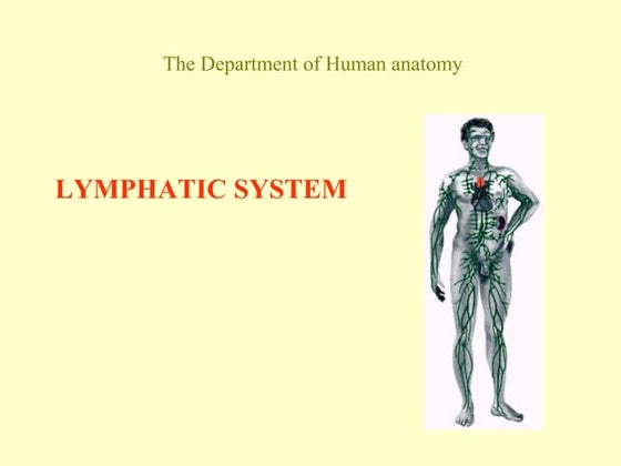 Lymphatic System Notes | PPT