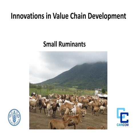 Innovations in Value Chain Development – Small Ruminants | PPT