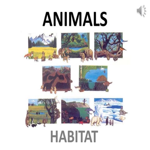 Animal habitat | PPTX