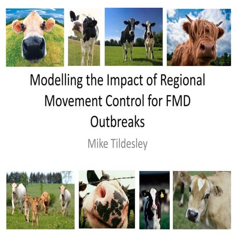 Modelling the Impact of Regional Modelling the Impact of Regional ...