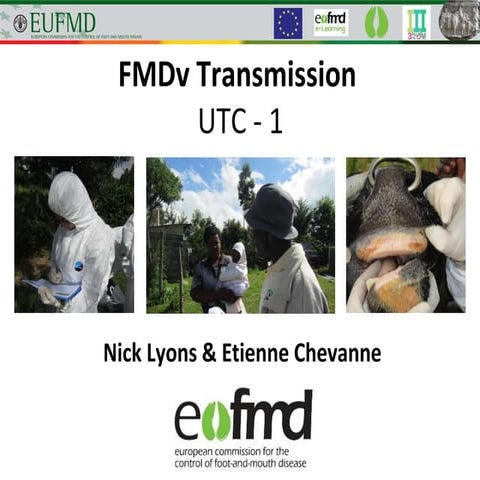 Fmd transmission Uganda Training Course | PPTX