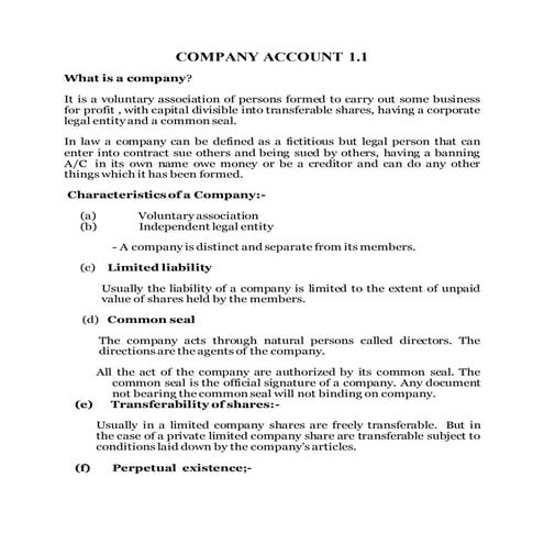 COMPANY ACCOUNT 1.1 | DOCX