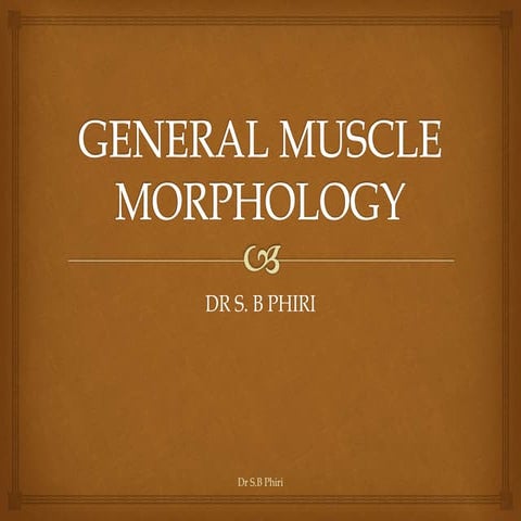 6. general muscle morphology lecture 1 | PPTX