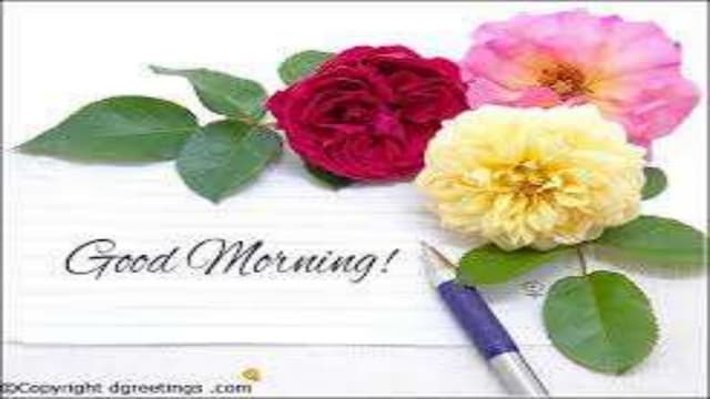 Cell injury and Cellular Adaptation: Pathology | PPTX