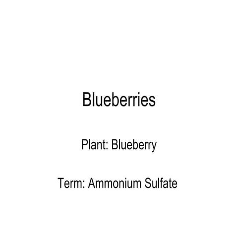 Blueberries | PPT