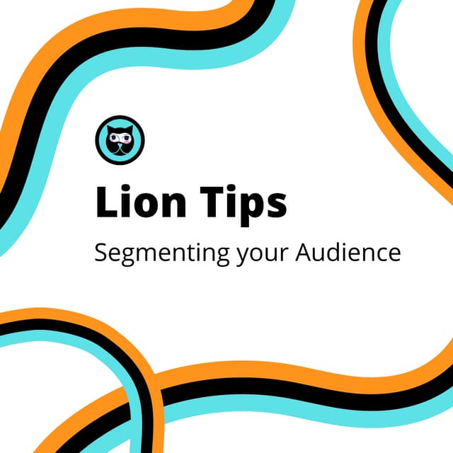 Lion Tips: Segmenting | PDF | Business | Business and Finance