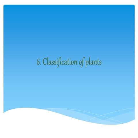 Classification Of Plant | PPTX