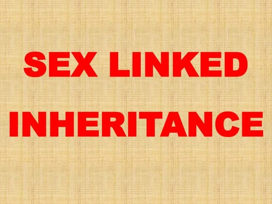 Sex Linked Inheritance Pdf 8157